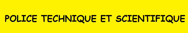 Les Empreintes digitales :: La police scientifique
